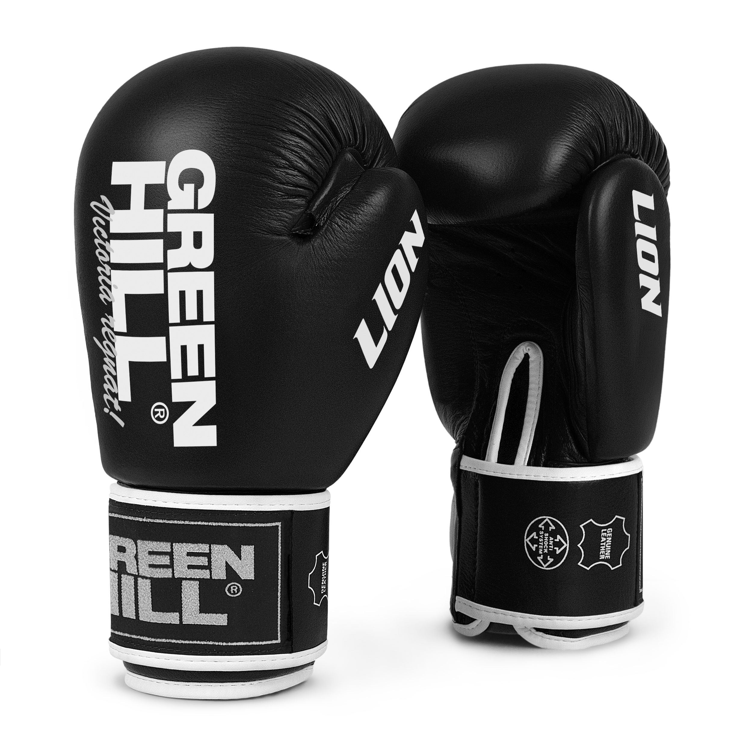 Guantoni Boxe Green Hill® Ufficiali | Allenamento e Gara